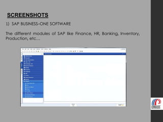 SAP in PRECOT MERIDIAN Ltd. | PPTX