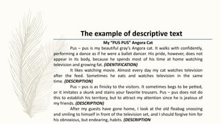 Story board descriptive text | PPTX