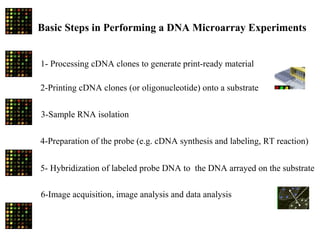 Acc 2002 microarray mehran for print | PPT