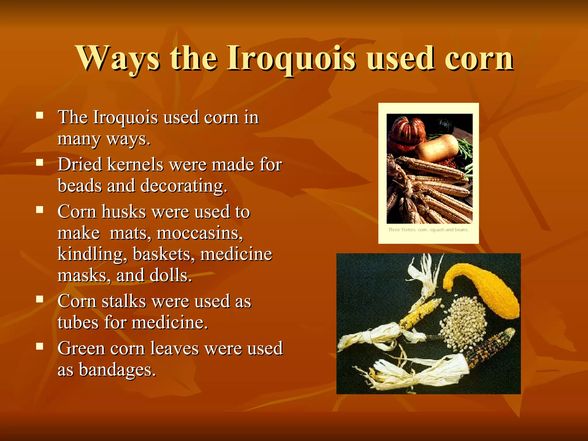 If You Lived With The Iroquois | PPT