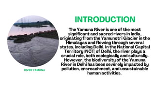 Biodiversity_of_River_Yamuna_in_Delhi.pdf