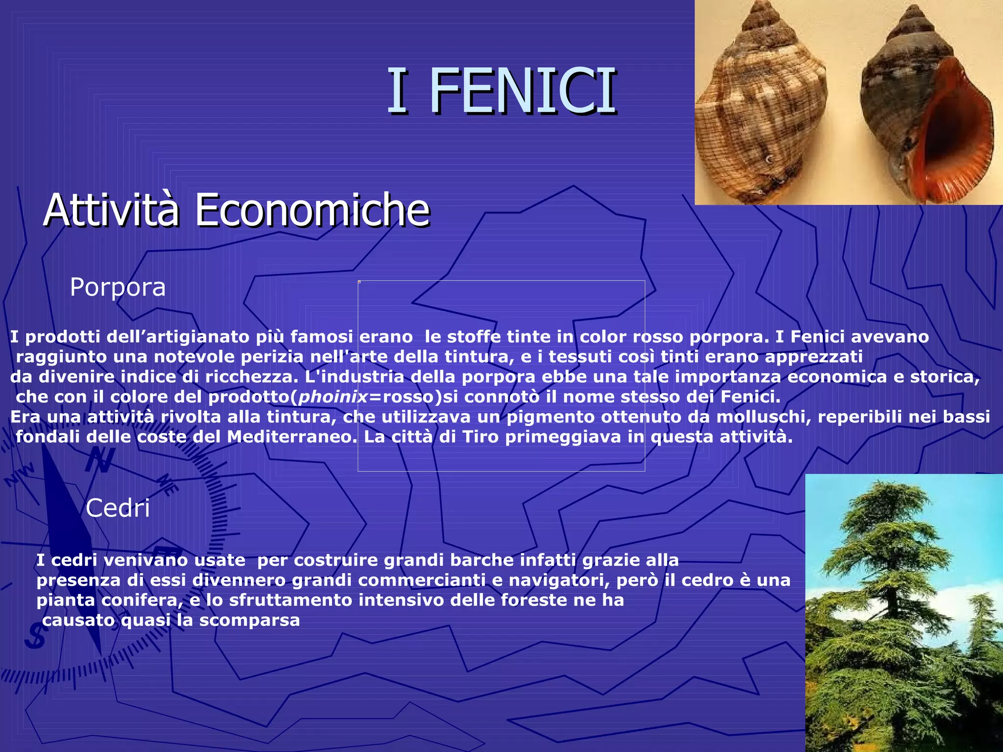 I fenici schemi | PPT