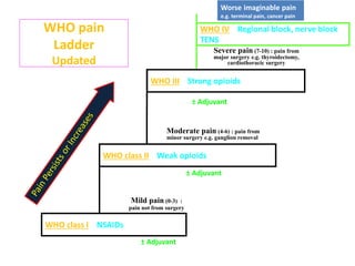 pain management | PPTX