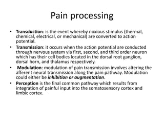 pain management | PPTX