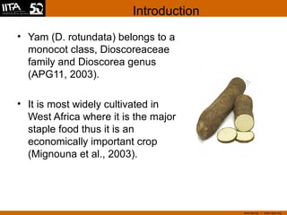 Effect of Fertilizer Uptake on the Growth and Yield of Two Genotypes of ...
