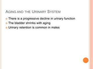 Anatomy and Physiology of Urinary System | PPT