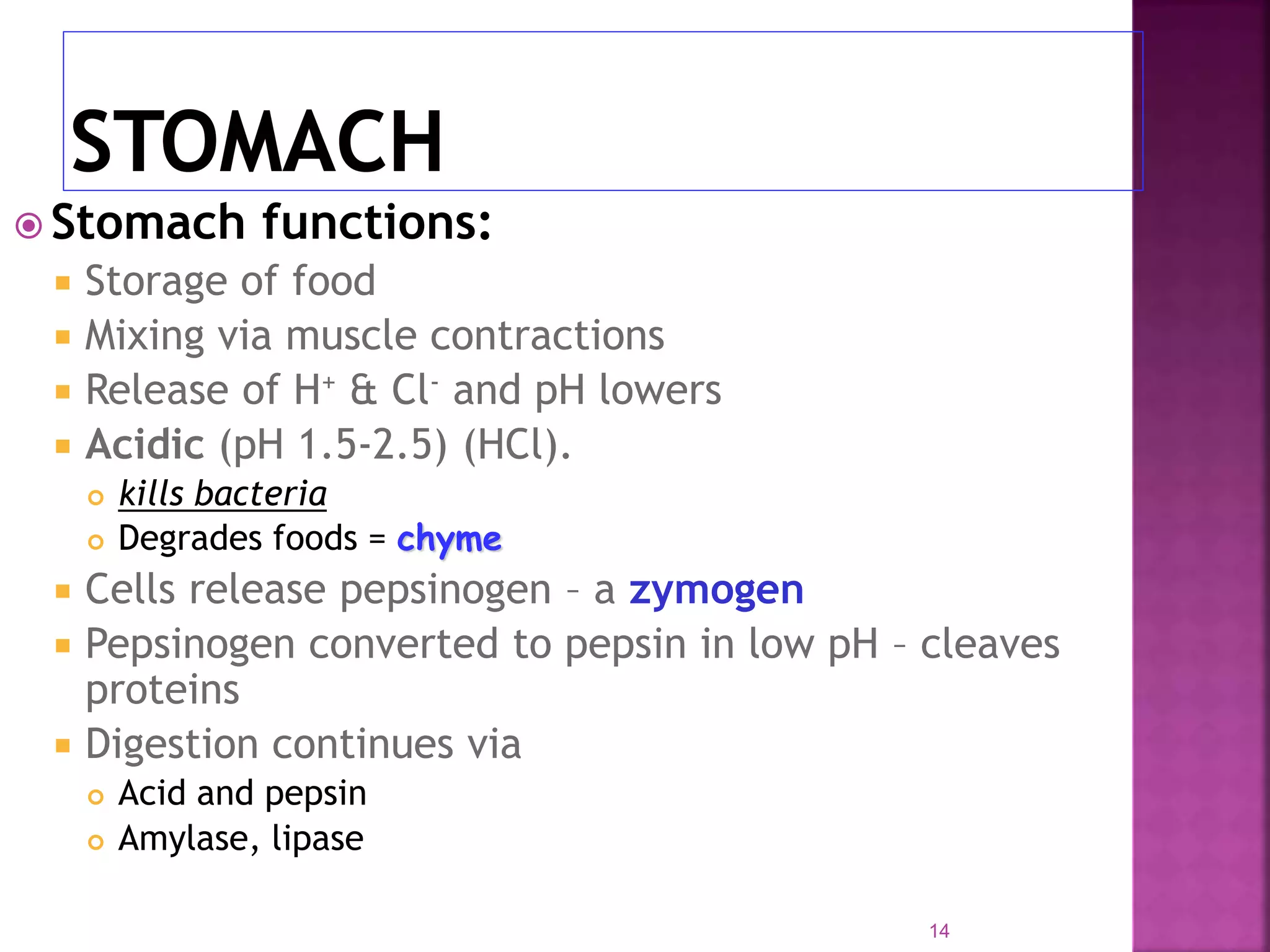 Anatomy and Physiology of Digestive System | PPT