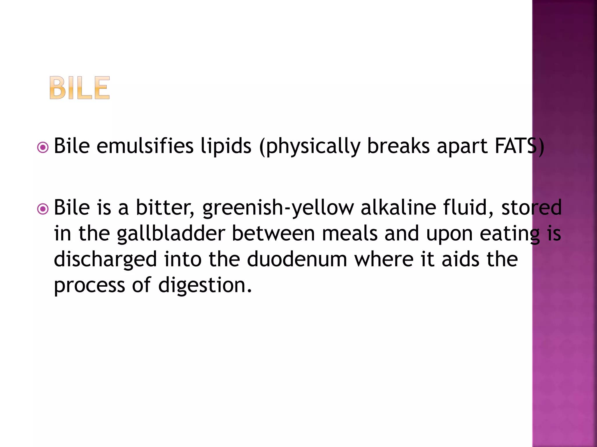 Anatomy and Physiology of Digestive System | PPT