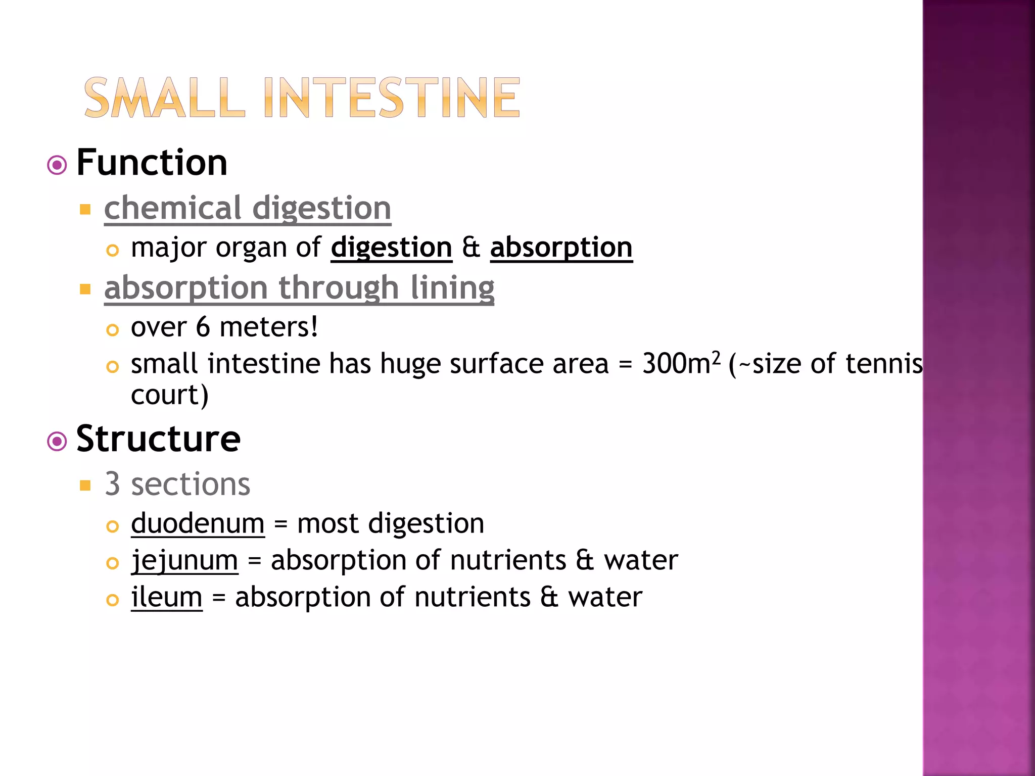 Anatomy and Physiology of Digestive System | PPT