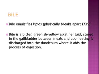 Anatomy and Physiology of Digestive System | PPT