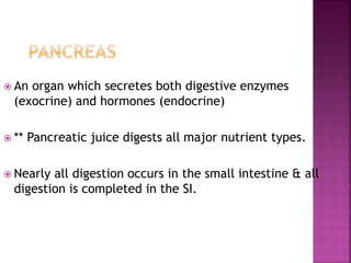 Anatomy and Physiology of Digestive System | PPT