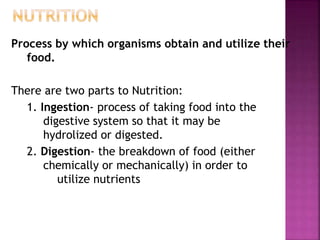 Anatomy and Physiology of Digestive System | PPT