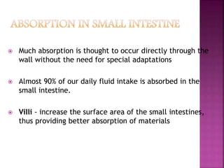 Anatomy and Physiology of Digestive System | PPT