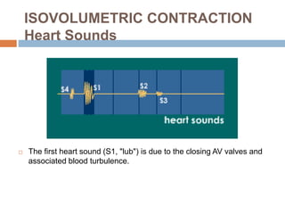Cardiac cycle | PPT