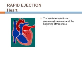 Cardiac cycle | PPT
