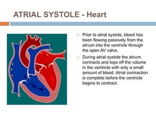 Cardiac cycle | PPT