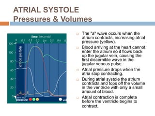 Cardiac cycle | PPT