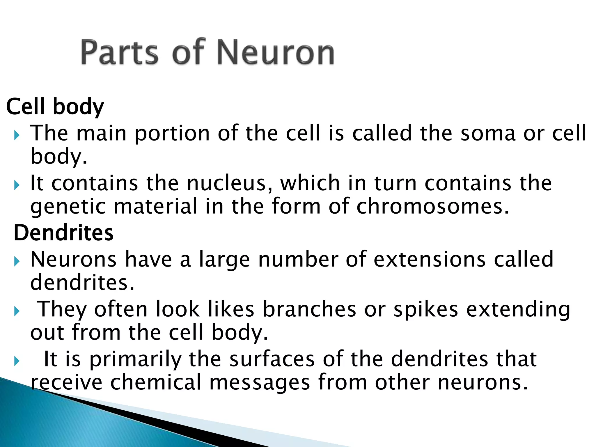 Anatomy & Physiology of Central Nervous System | PPT | Brain and ...