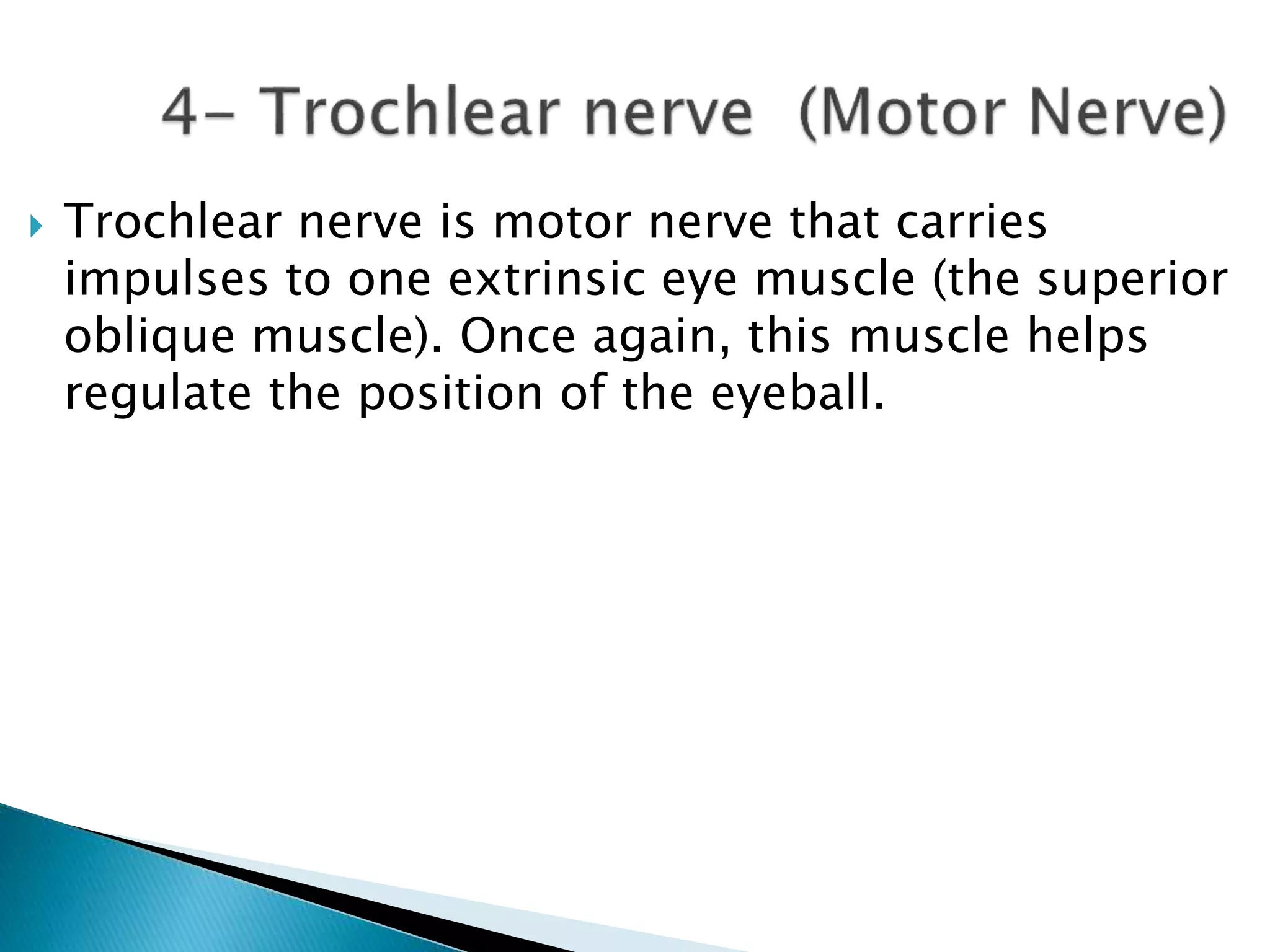 Anatomy & Physiology of Central Nervous System | PPT | Brain and ...