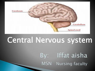 Anatomy & Physiology of Central Nervous System | PPT | Brain and Nervous System Disorders ...