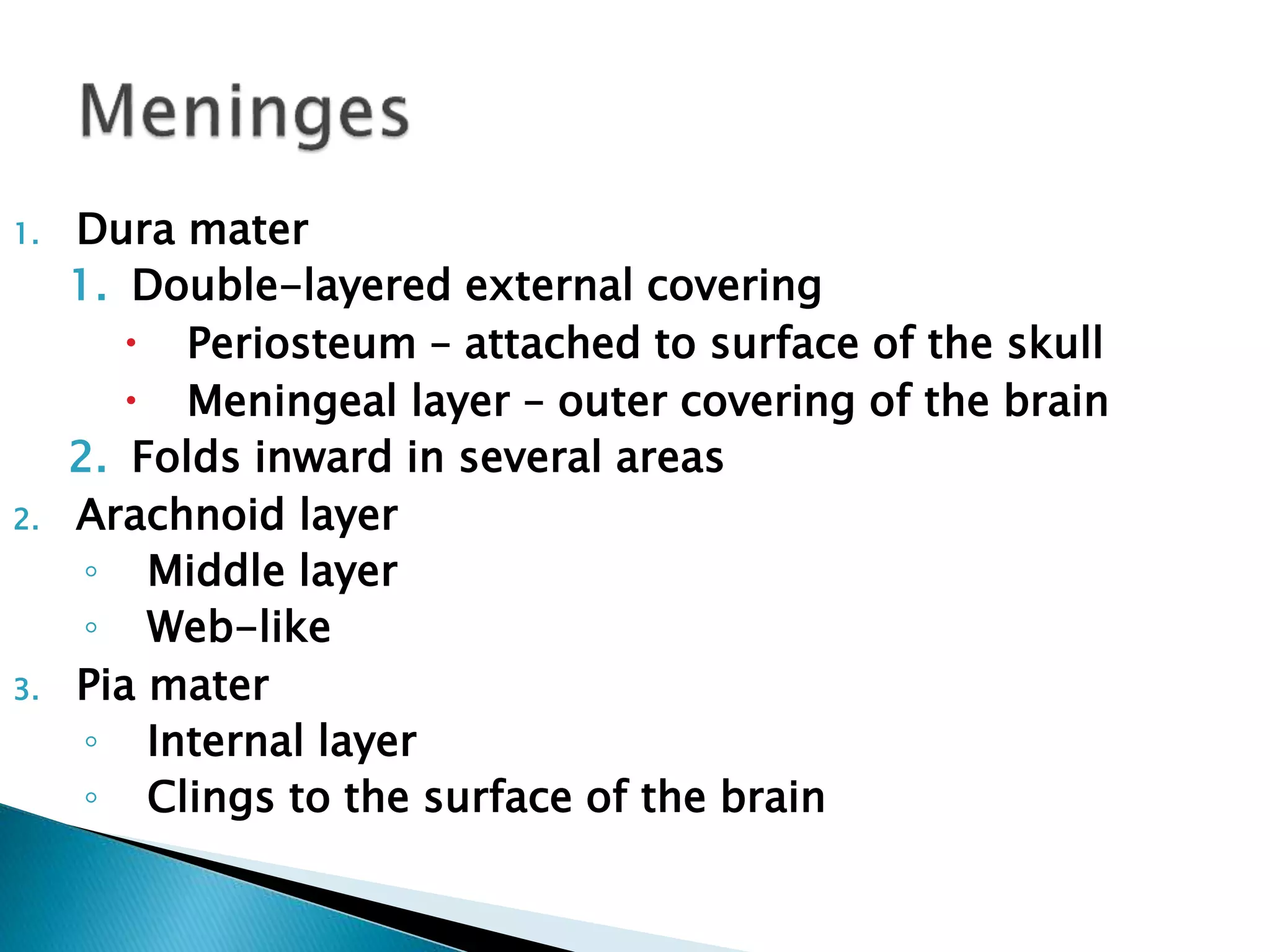 Anatomy and physiology of Central Nervous System | PPT