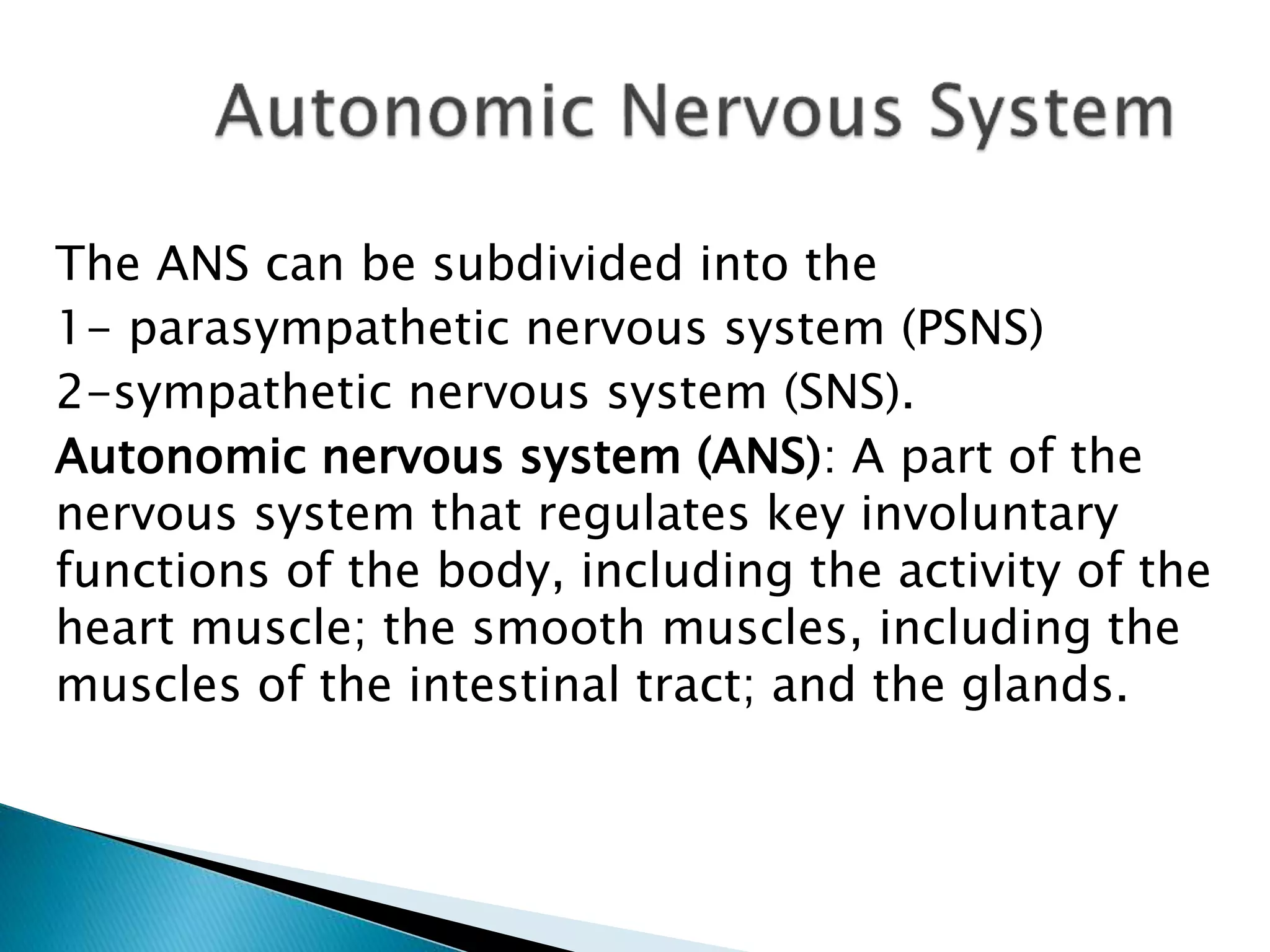 Anatomy and physiology of Central Nervous System | PPT