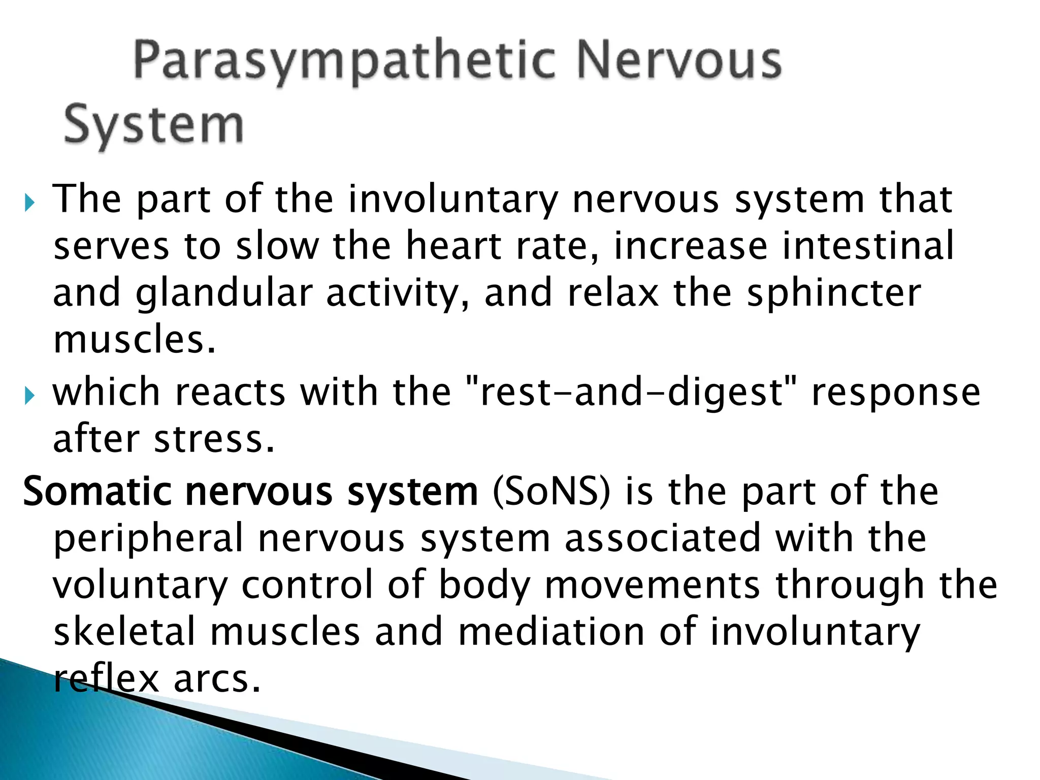 Anatomy and physiology of Central Nervous System | PPT