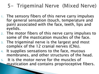 Anatomy and physiology of Central Nervous System | PPT