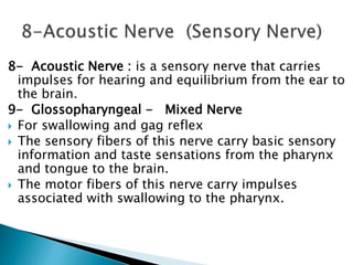 Anatomy and physiology of Central Nervous System | PPT