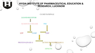 INOSITOL TRIPHOSPHATE (IP3), CYCLIC GMP.pptx