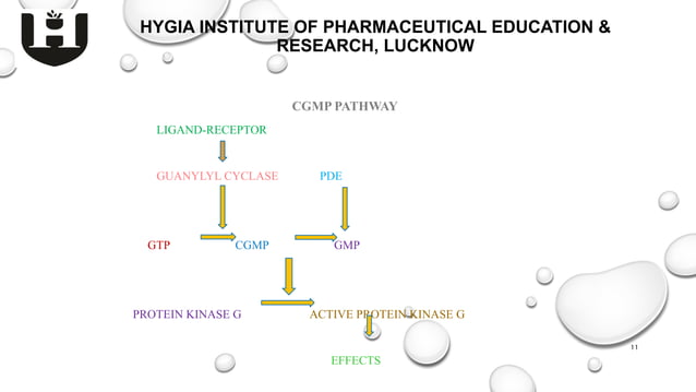 INOSITOL TRIPHOSPHATE (IP3), CYCLIC GMP.pptx | Endocrine and Metabolic ...