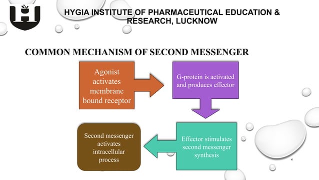 INOSITOL TRIPHOSPHATE (IP3), CYCLIC GMP.pptx | Endocrine and Metabolic ...
