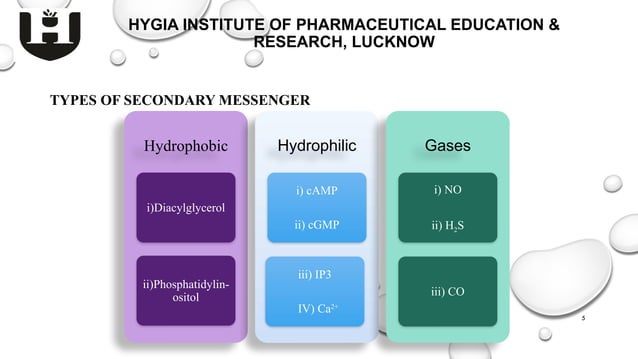 INOSITOL TRIPHOSPHATE (IP3), CYCLIC GMP.pptx | Endocrine and Metabolic ...