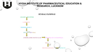 INOSITOL TRIPHOSPHATE (IP3), CYCLIC GMP.pptx