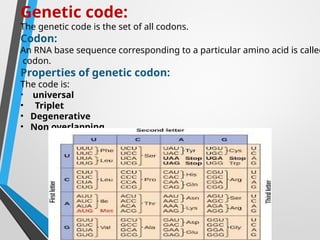 Microbial Protein Biosynthesis and Metabolism.pptx