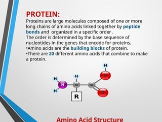 Microbial Protein Biosynthesis and Metabolism.pptx