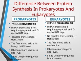 Microbial Protein Biosynthesis and Metabolism.pptx