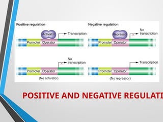 Microbial Protein Biosynthesis and Metabolism.pptx