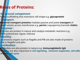 Microbial Protein Biosynthesis and Metabolism.pptx
