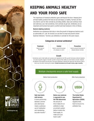 Antibiotics Fact Sheet | PDF
