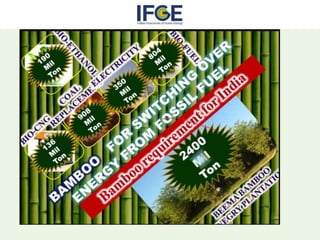 Indian Federation of Green Energy PPT (1).pptx