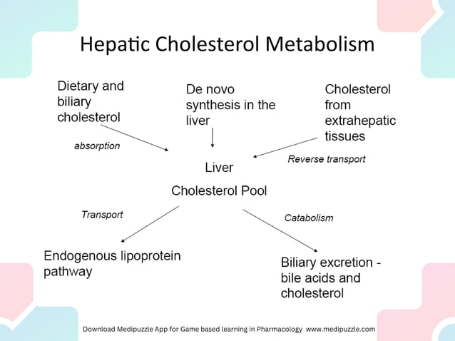 HS-Hypolipidemic_Drugs.pdf