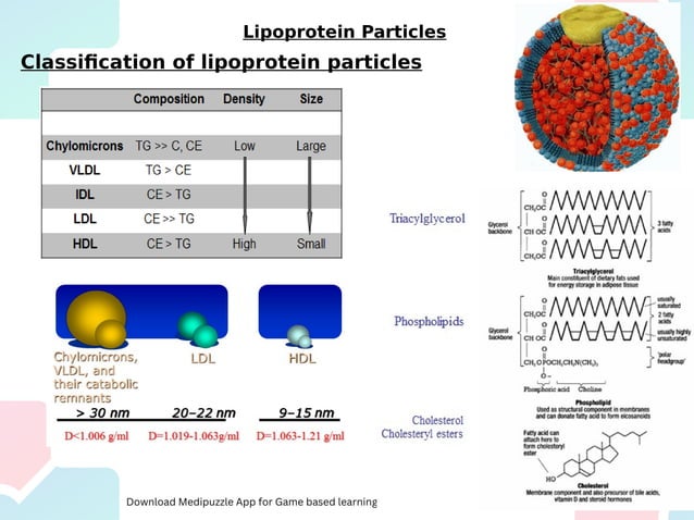 HS-Hypolipidemic_Drugs.pdf