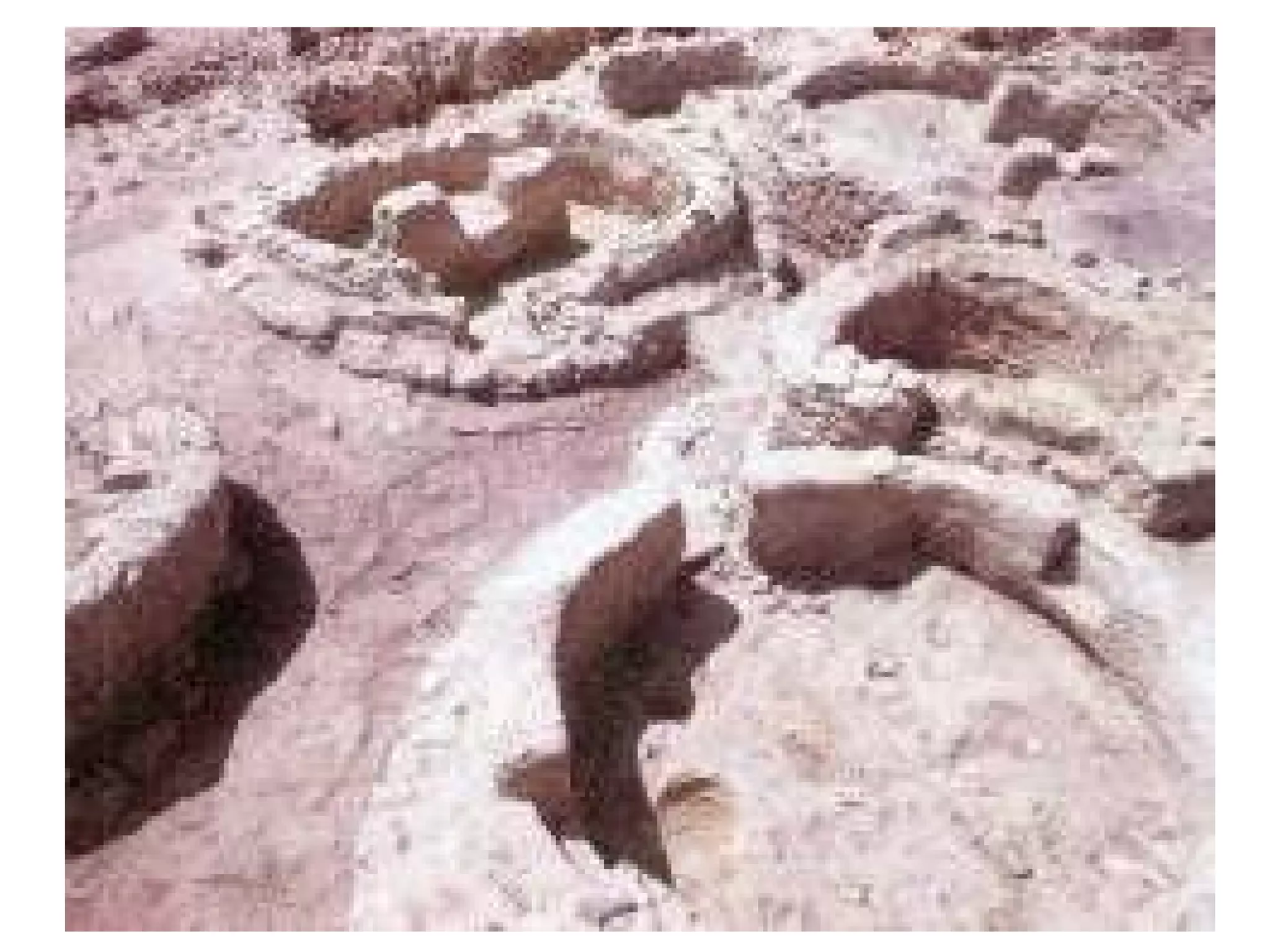 Ifigenia pontiki neolithic choirokitia | PPT