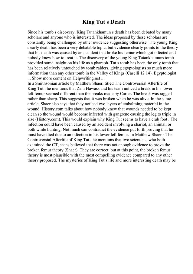 If I Were President Essay | PDF | Media Industry | Industries