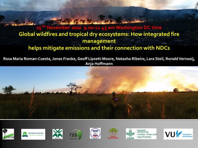Global wildfires and tropical dry ecosystems: How integrated fire ...