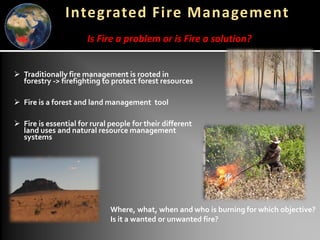 Global wildfires and tropical dry ecosystems: How integrated fire ...