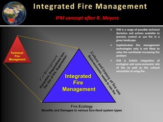 Global wildfires and tropical dry ecosystems: How integrated fire ...