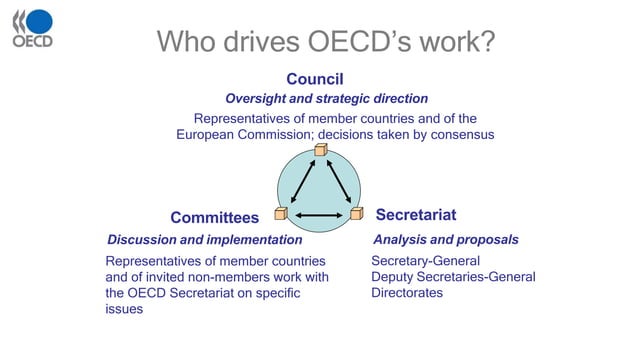 OECD PPT.pptx