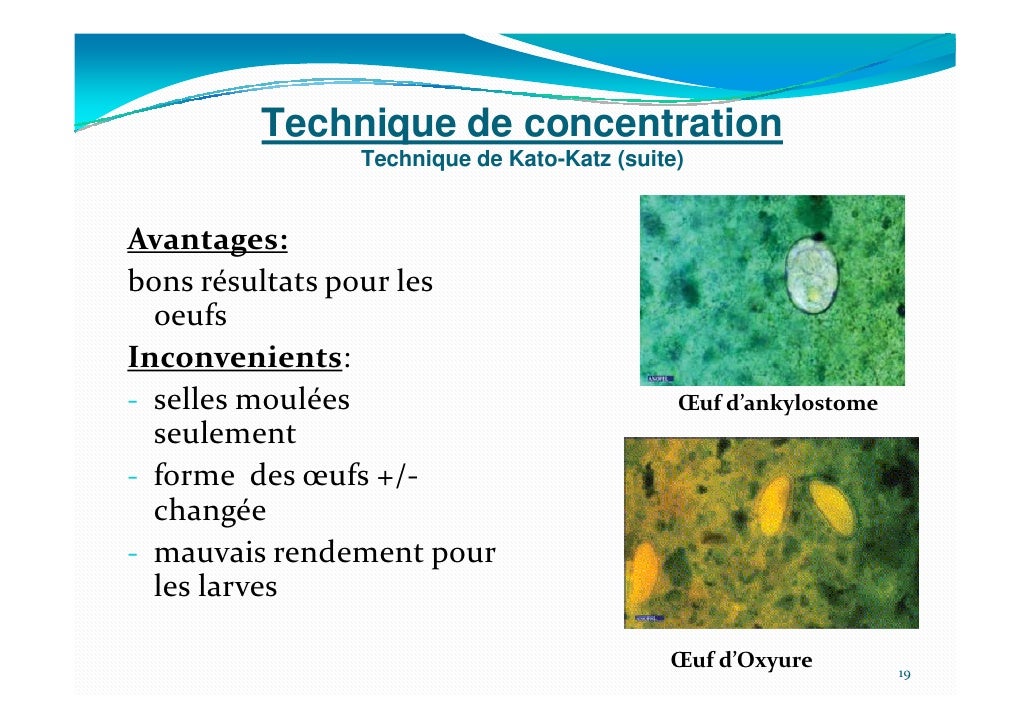 Fiche Technique De Kato Katz: Kato Katz Kit Price – HXYIMD